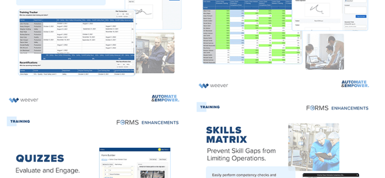 Skills Matrix Dashboard | Weever