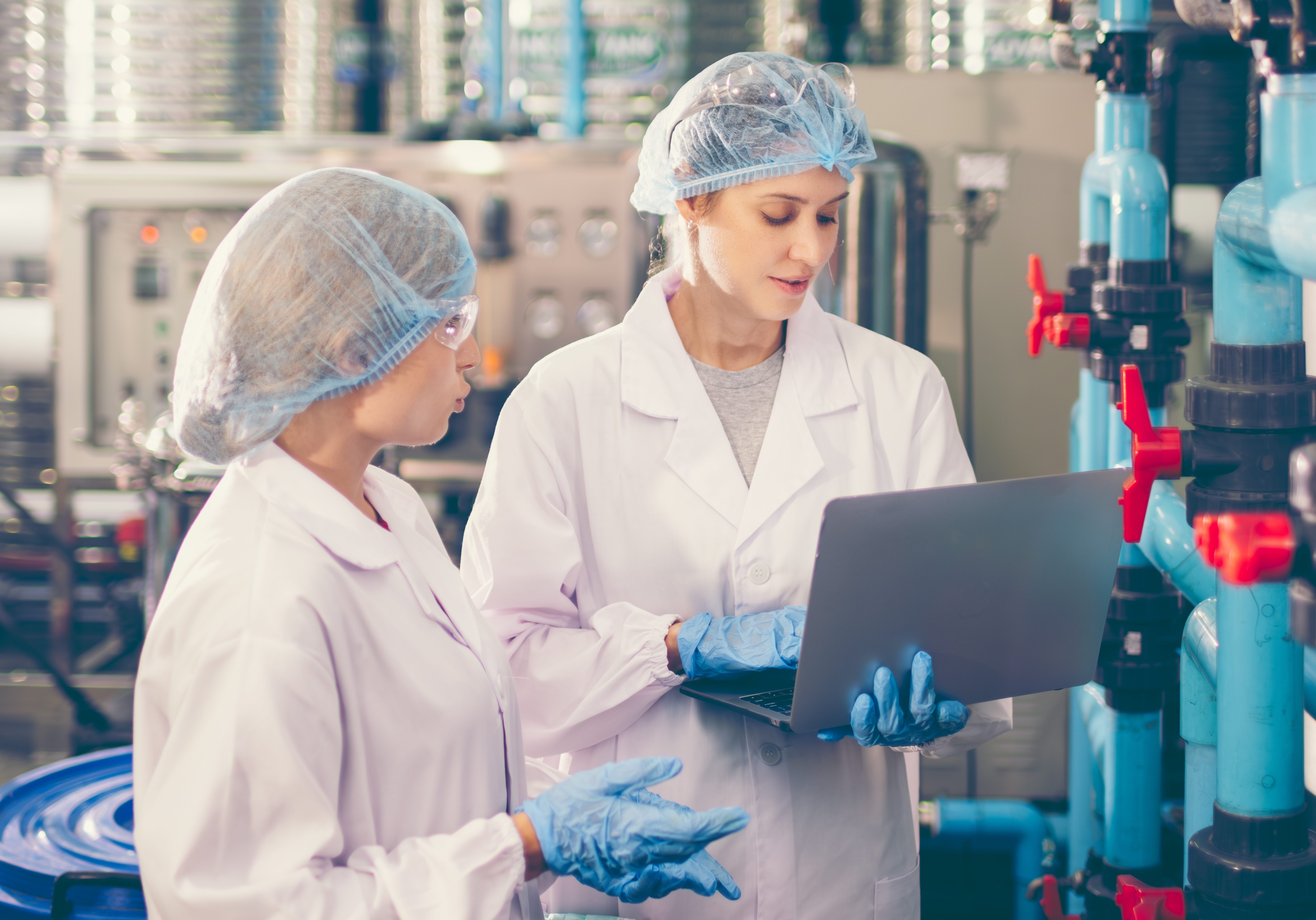 Weever's Reporting Helps Identify and Manage Defects